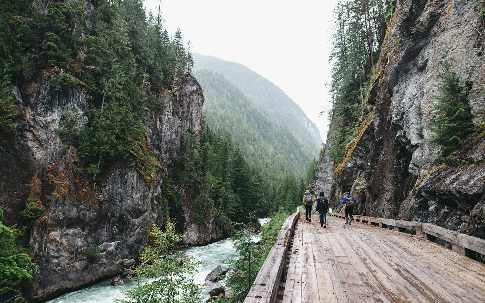 Meet Julius Strauss | Wild Bear Lodge